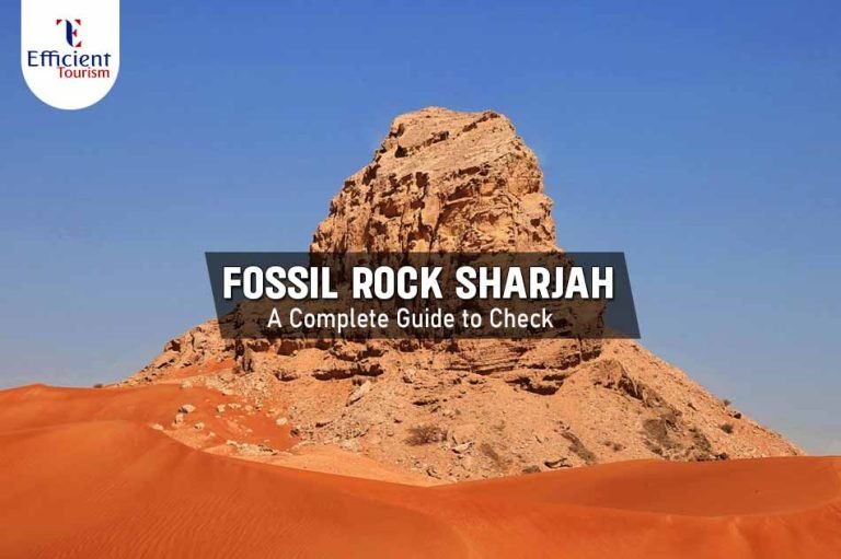 Fossil Rock Sharjah : A Complete Guide to Check